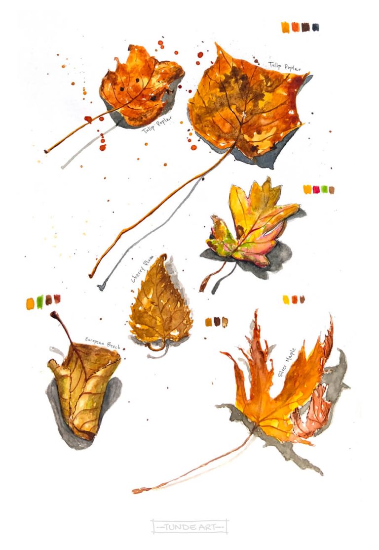 Autumn in my sketchbook - Tunde Art