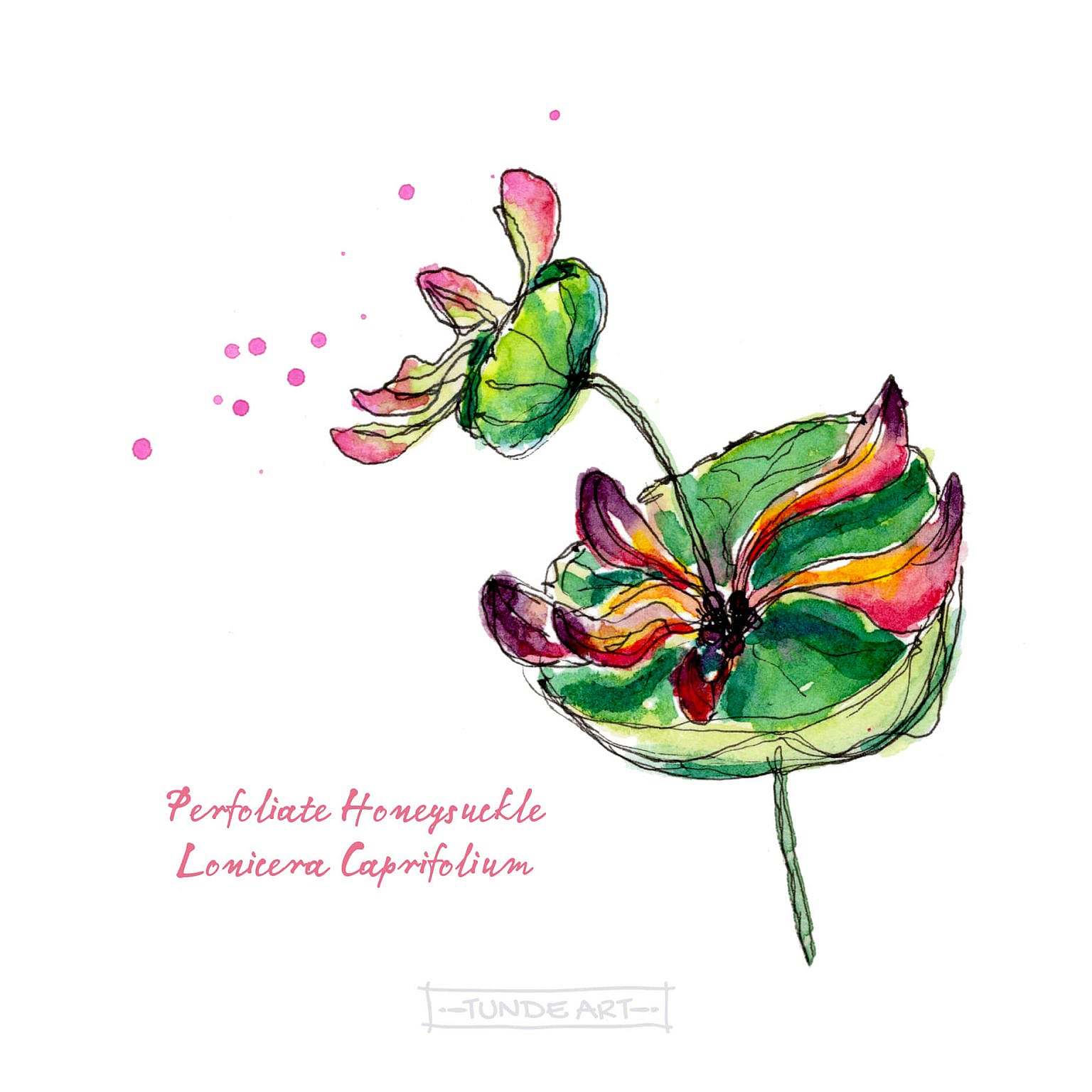 Tunde Art - Sketcher, creator & artist